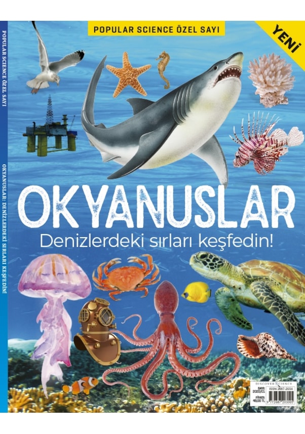 OKYANUSLAR Fiyatları ve Özellikleri