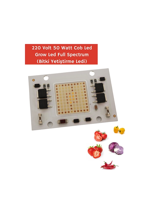 DoraLed 220 Volt 50 Watt Full Spectrum Cob Led Grow Led Bitki Ledi Fiyatları ve Özellikleri