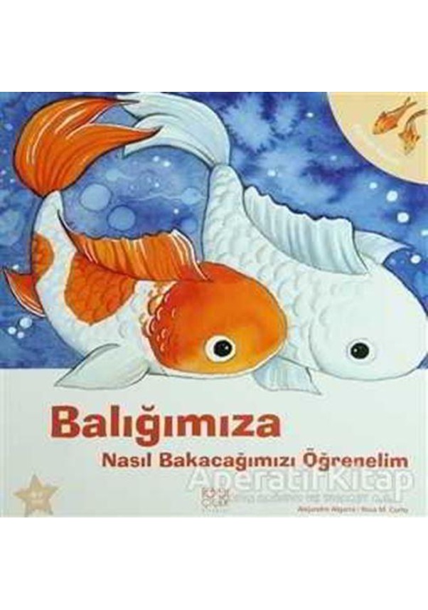 Balığımıza Nasıl Bakacağımızı Öğrenelim - Alejandro Algarra - 100 ...