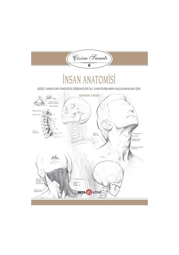 Çizim Sanatı 6-insan Anatomisi Fiyatları ve Özellikleri