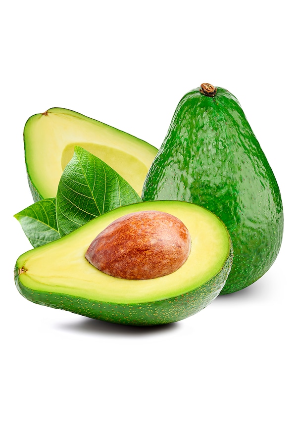 Fuerte Avokado Fidanı Fiyatları ve Özellikleri