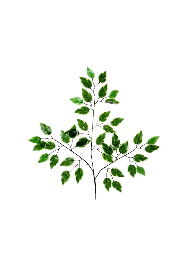 Yapay Ficus Benjamin Starlight Dalı Alacalı Fiyatları ve Özellikleri