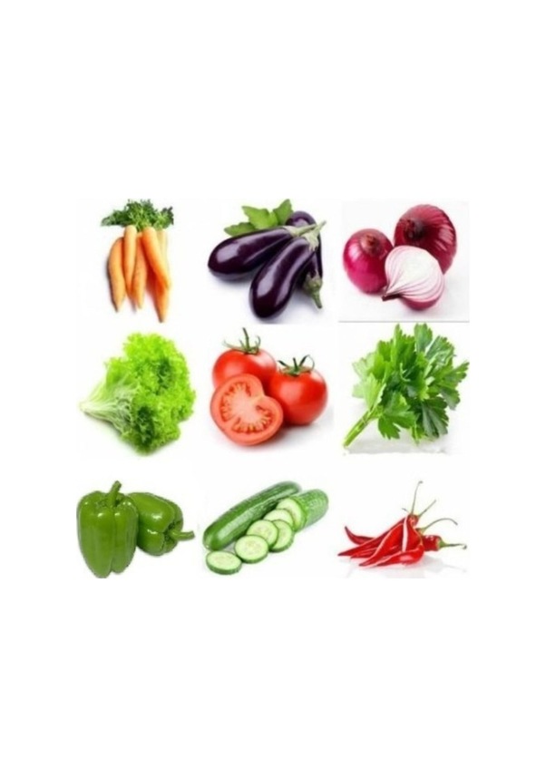9 Farklı Çeşit Sebze Tohum Seti Ort 1575 Ad+Gübre Fiyatları ve Özellikleri