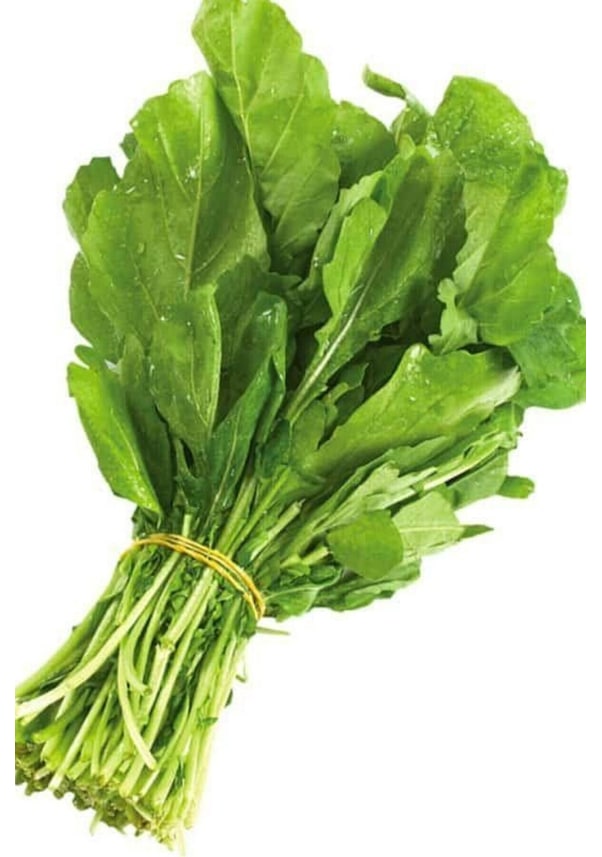 Roka Tohumu 25 GR Fiyatları ve Özellikleri