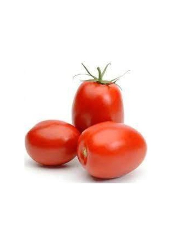 25 Adet Tohum Italyan Rio Grande Bursa Domates Fiyatları ve Özellikleri