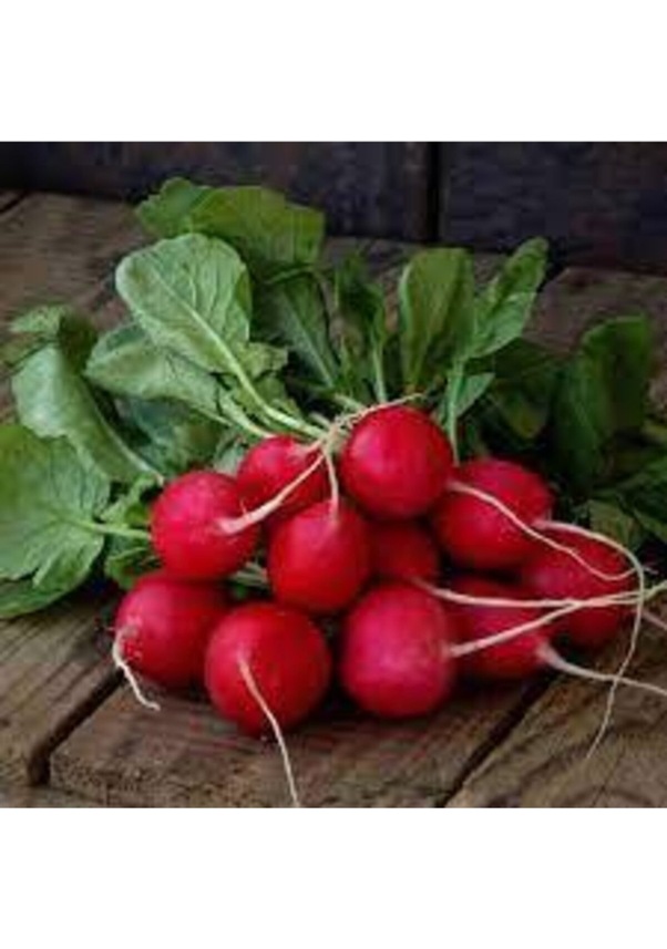 Tohum Yerli Kırmızı Fındık Turp Tohumu 50 Adet Fiyatları ve Özellikleri