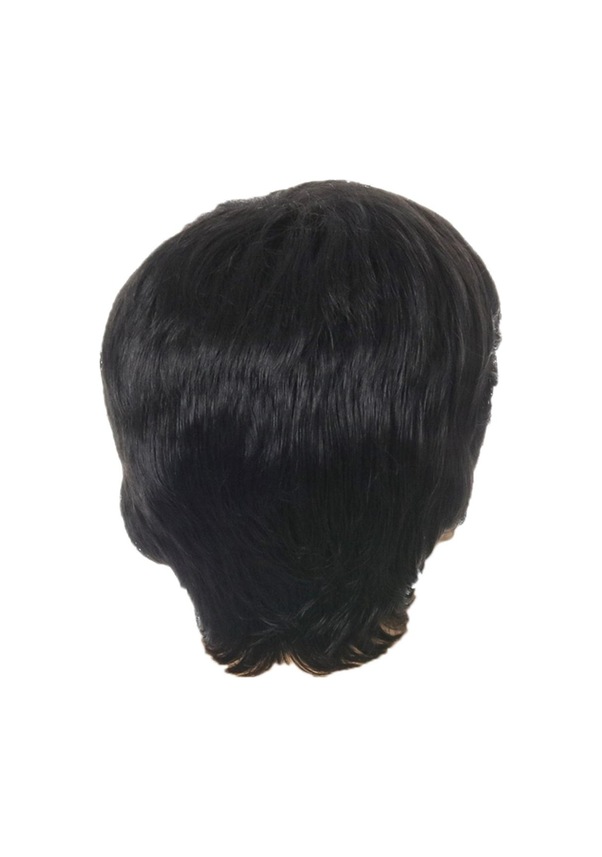 Nyt Moda Peruk Kısa Siyah Erkek Düz Sentetik Peruk Erkekler Için Saç ...