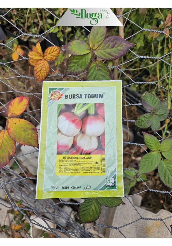 Şalgam Turpu Tohumu Fiyatları ve Özellikleri