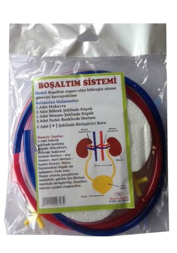 Boşaltım Sistemi Modeli Deney Seti Fiyatları ve Özellikleri