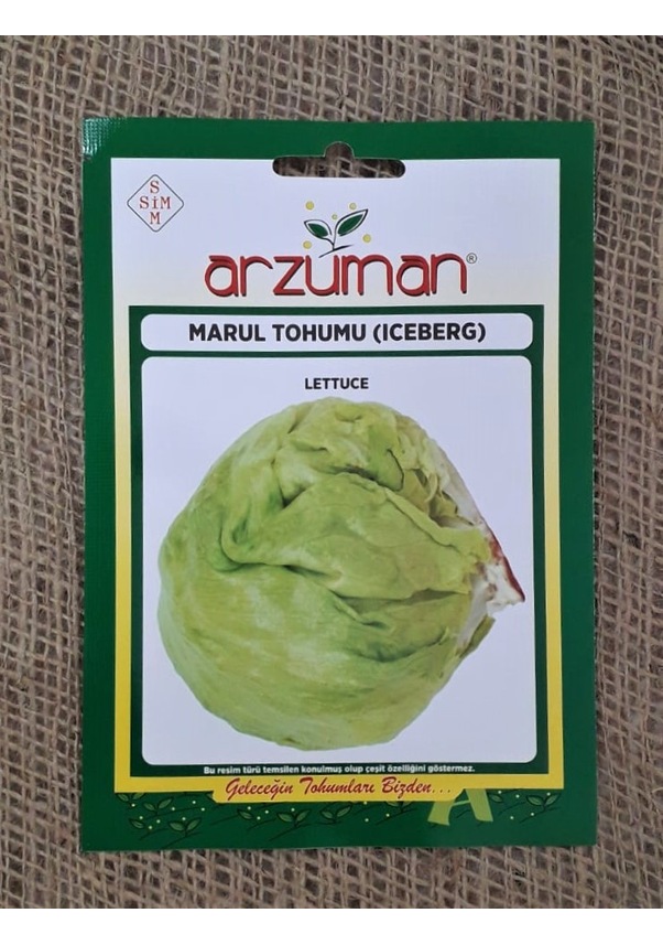 Iceberg Tohumu 1 Paket 3000 Adet Yeşillik Tohumu Sebze Tohum N111012 ...