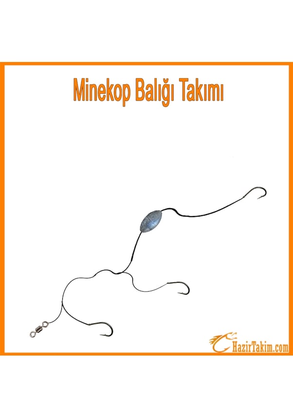 Minekop Balığı Takımı ( 3 ADET ) Fiyatları ve Özellikleri