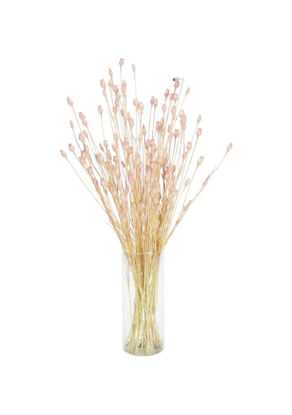 Kurutulmuş Vazo Çiçeği Pembe Fiyatları ve Özellikleri