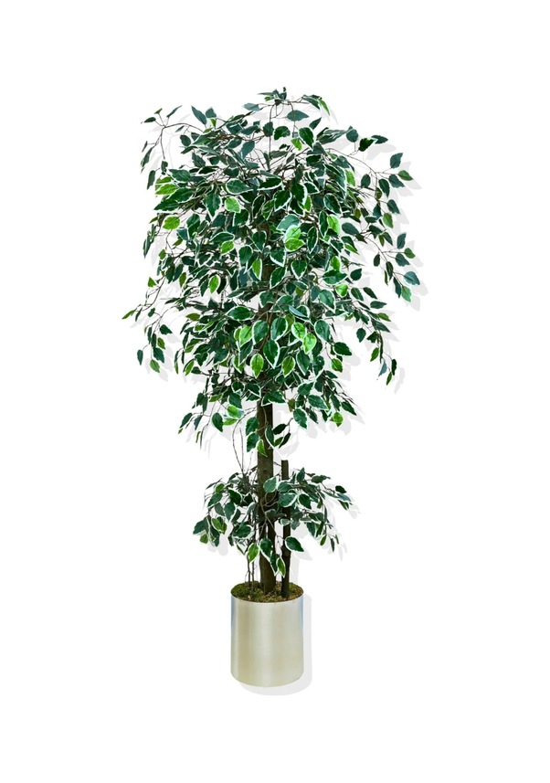 Benjamin Starlight Beyaz-yeşil 175 Cm Yapay Ağaç Galvaniz Saksı ...