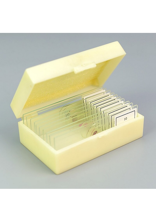 Mikroskop Slayt Preparat Set 10'Lu Daimi Bitki Hayvan Hücre Doku ...