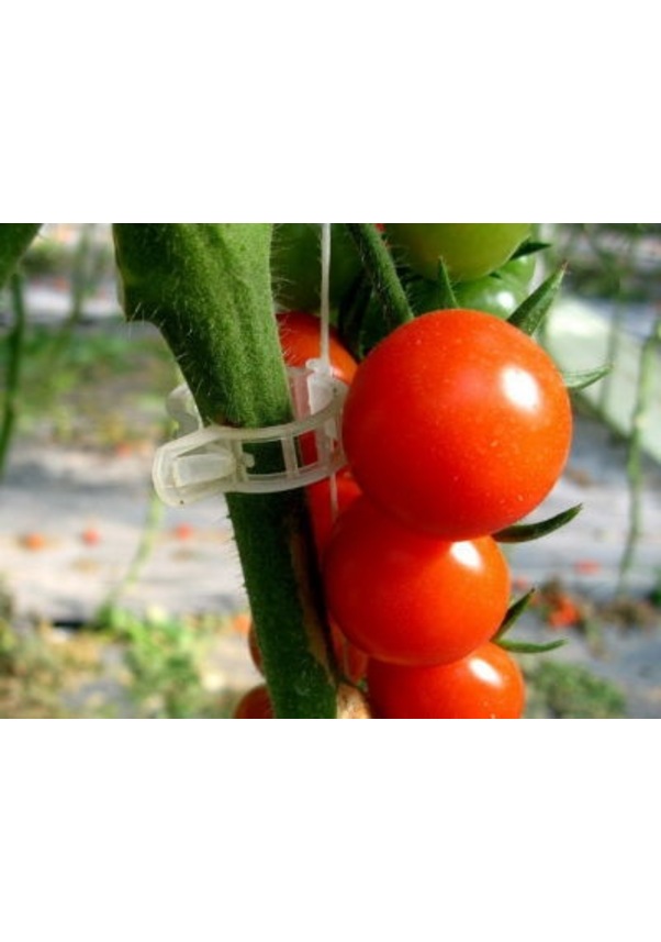 Bitki Klipsi - Domates Klipsi - 10000 Adet - Sarmaşık Bitki Klipsi ...