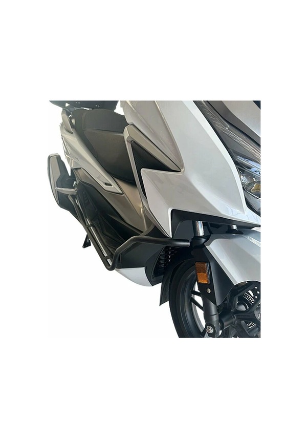 Gogo Forza 250 Koruma Demiri 2018-2024 Fiyatları ve Özellikleri