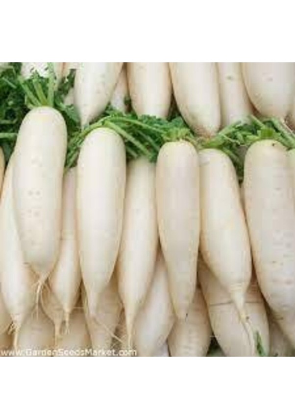 50 Adet Tohum Nadir Beyaz Uzun Turp Tohumu Beyaz Çin Turpu Tohumu ...