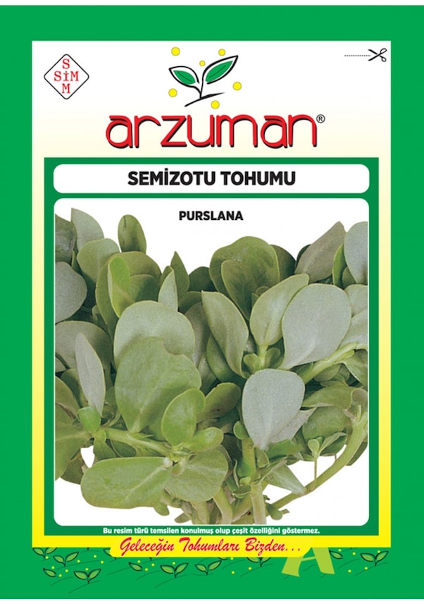 Arzuman Semizotu Tohumu 25 G Fiyatları ve Özellikleri
