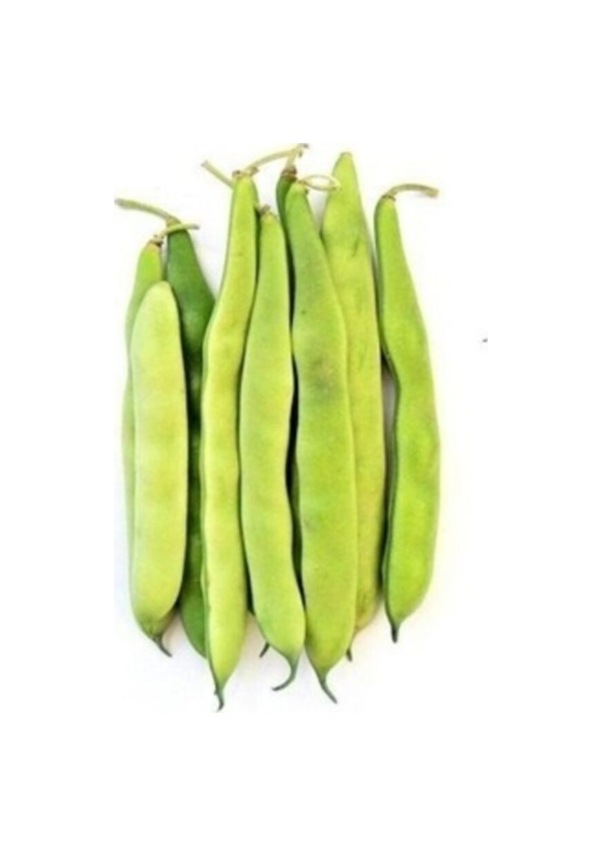 Eko Paket Magnumax Demir Fasulye Tohumu 100 Adet Tohum Fiyatları ve ...