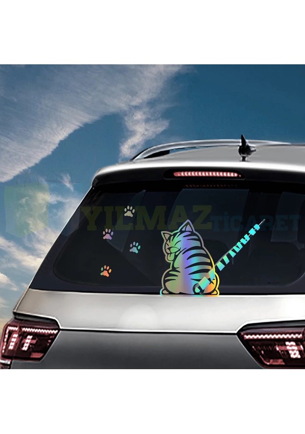 Kedi Kuyruk Pati Hologram Arka Cam Silecek Oto Araba Sticker Etiket ...