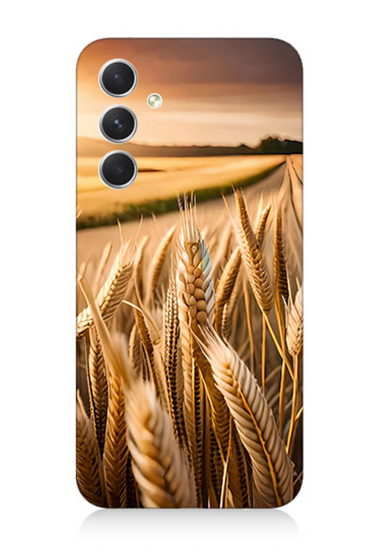 Samsung Galaxy A34 Uyumlu Silikon Kılıf Buğday Başak Tarlası Tknsgsa34 ...