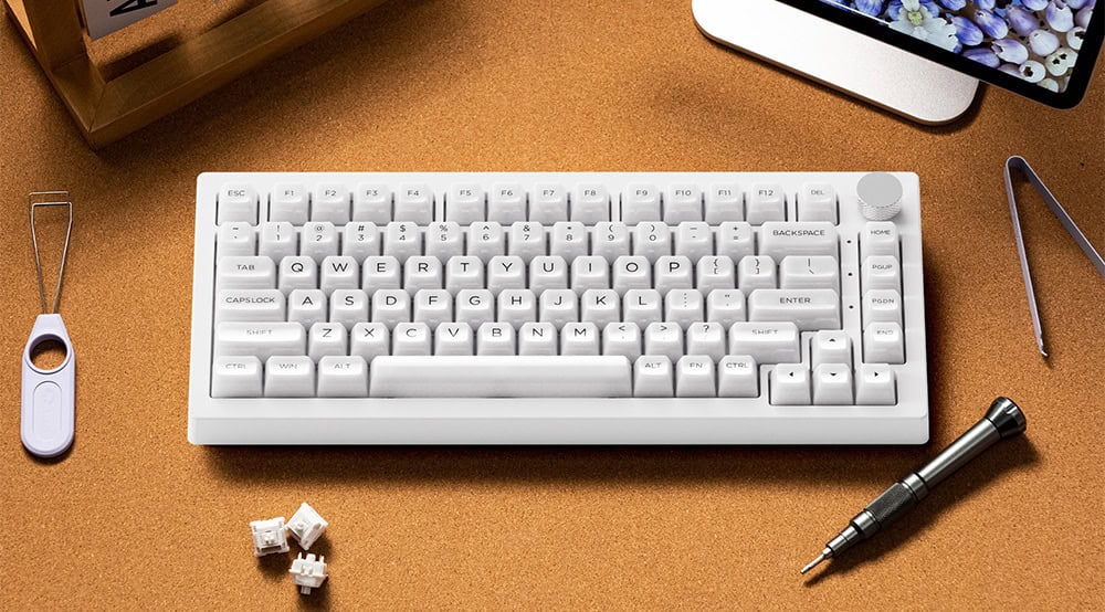 Akko 5075B Plus Shine-Through RGB Kablosuz Mekanik Oyuncu Klavye Beyaz ...