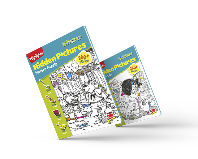 Sticker Hidden Pictures 2'Li Set Fiyatları ve Özellikleri