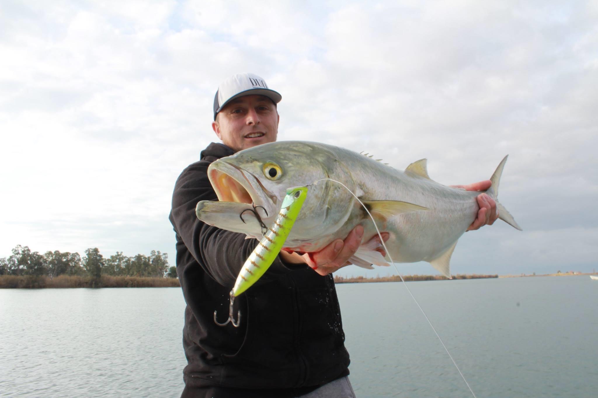 Duo Realis Pencil Popper 148 Sw Aha0011 Sardine Fiyatları ve Özellikleri